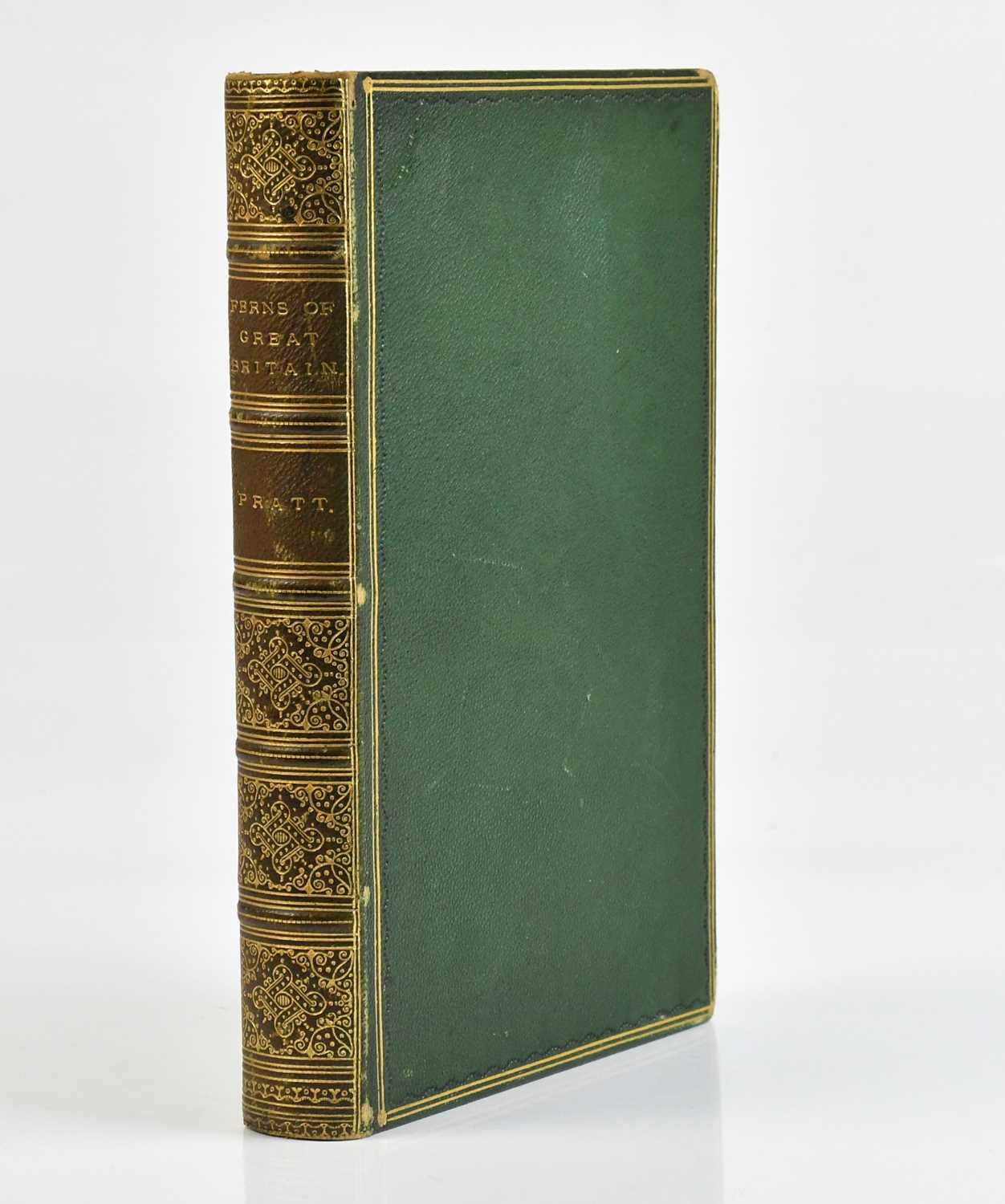 Lot 61 - PRATT (ANNE), THE FERNS OF GREAT BRITAIN AND