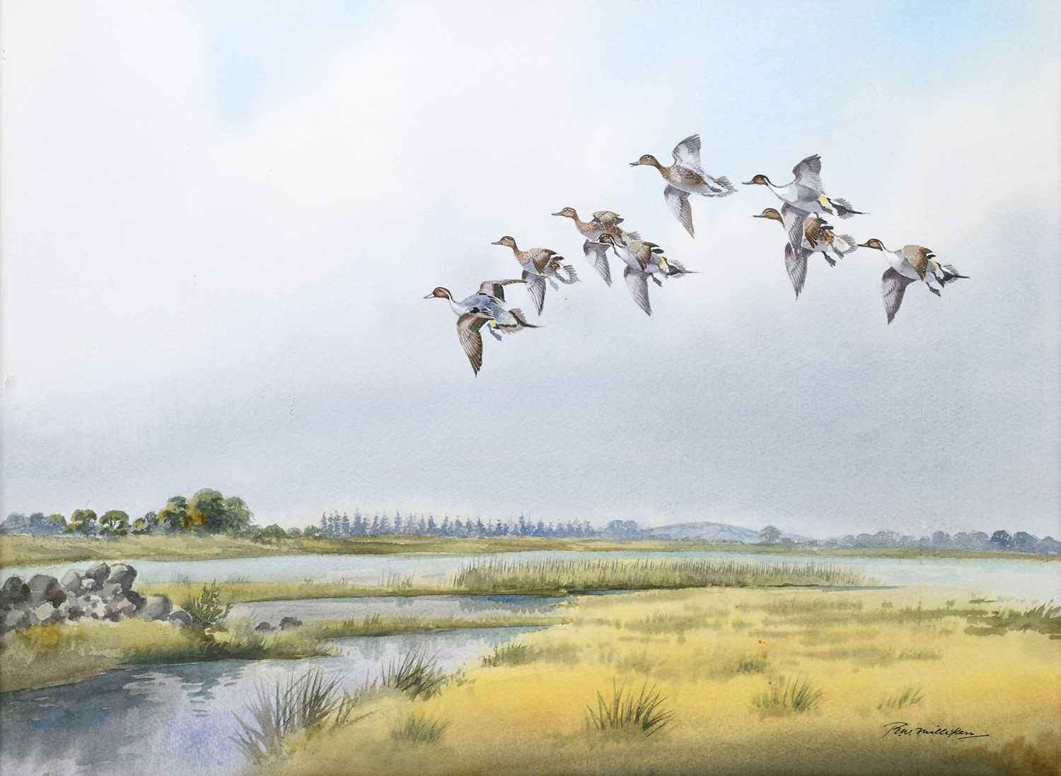 Lot 1620 - ROBERT W MILLIKEN; watercolour, 'Pintails