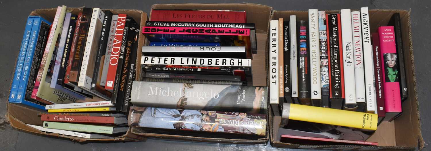 Lot 374 - Three boxes of good quality art reference