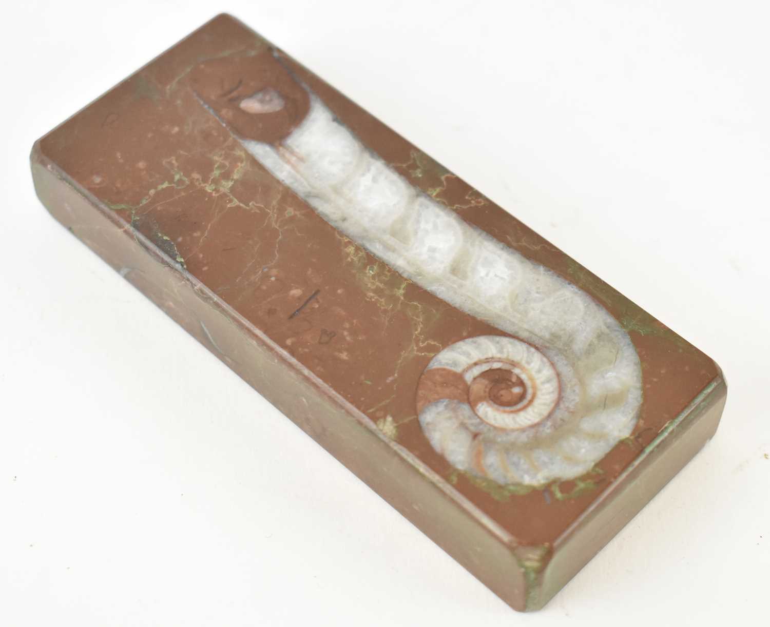 Lot 264 - A small nautiloid rectangular fossil, 9.5 x