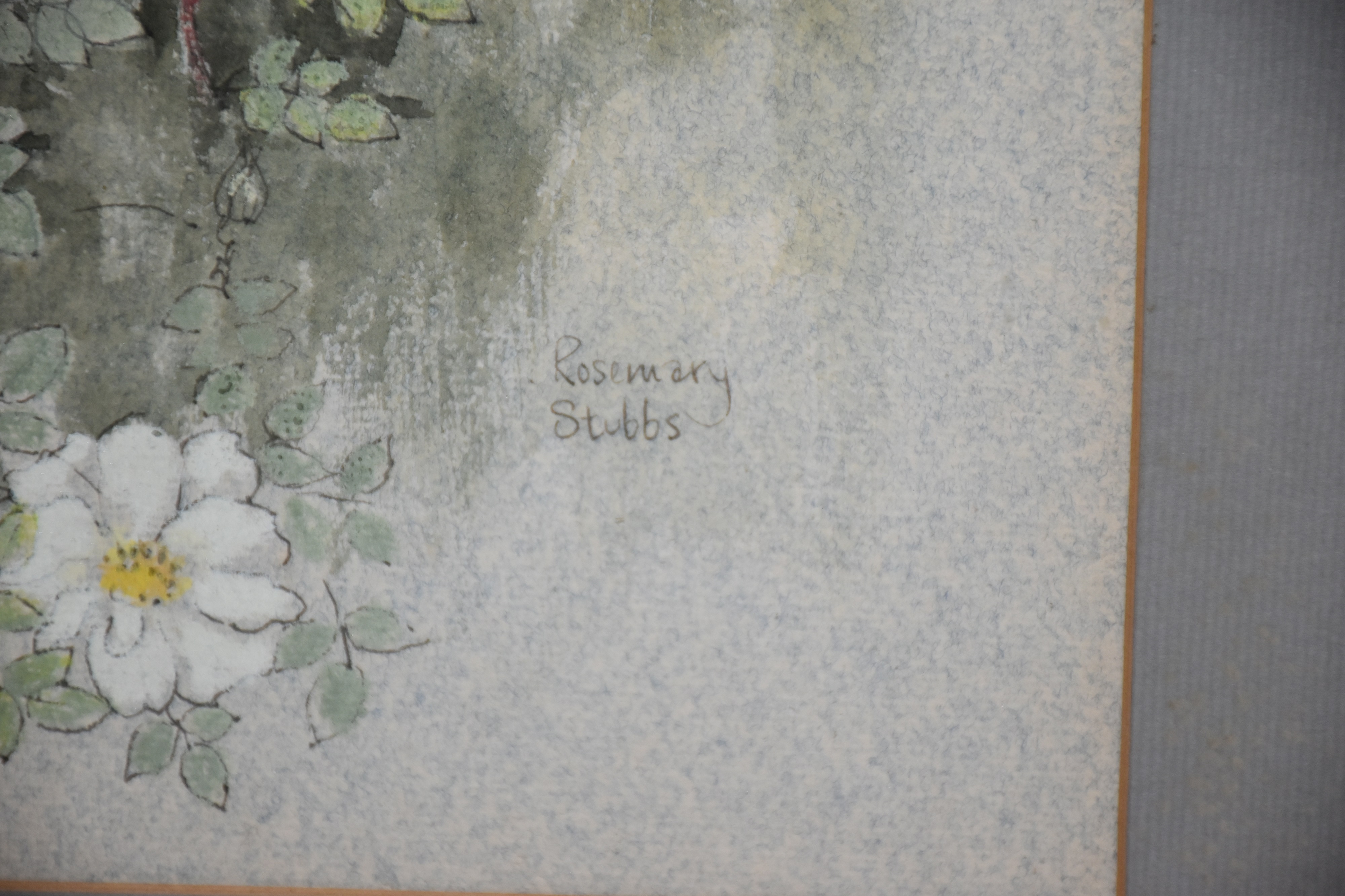 Lot 1555 - ROSEMARY STUBBS; watercolour, still life