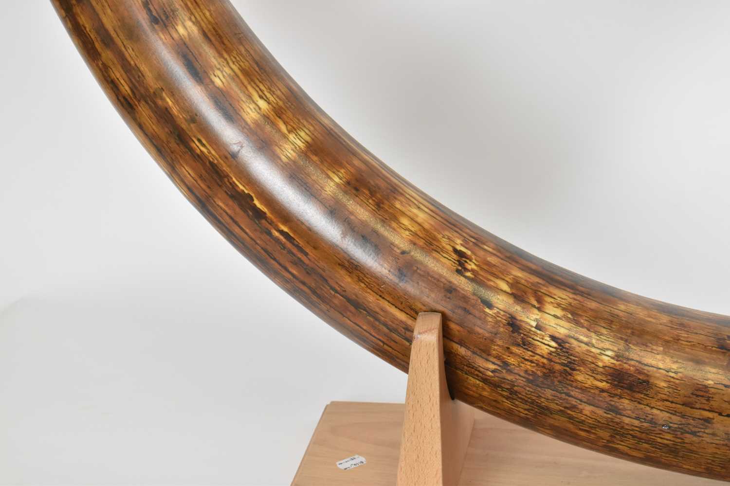 Lot 392 - NATURAL HISTORY; a woolly mammoth tusk
