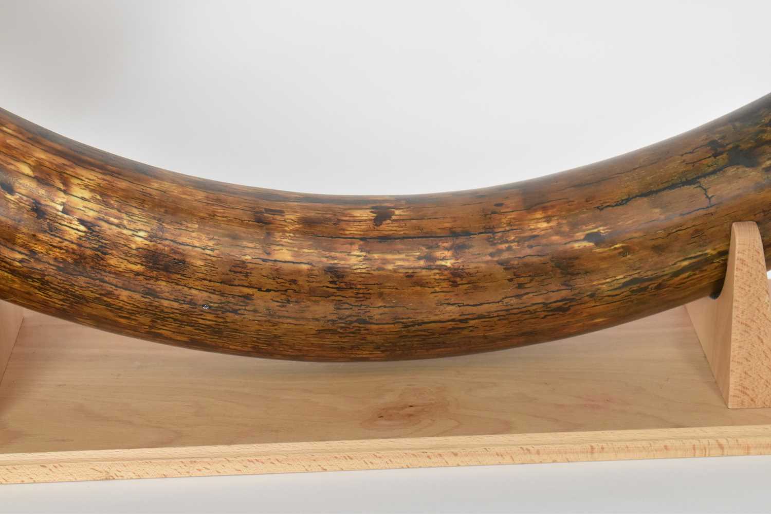 Lot 392 - NATURAL HISTORY; a woolly mammoth tusk