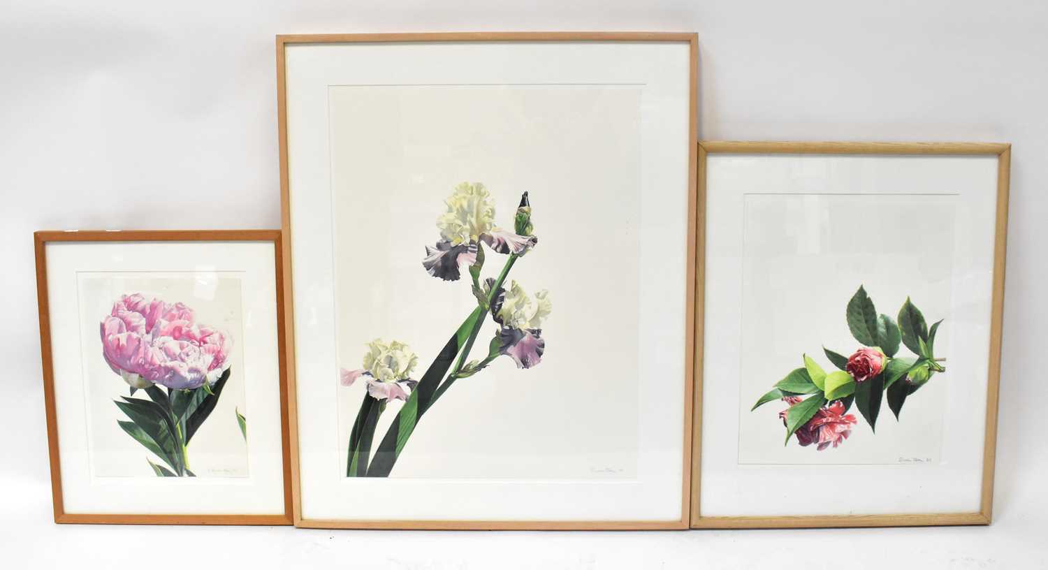 Lot 675 - SUSAN FOX (20th century); watercolour and