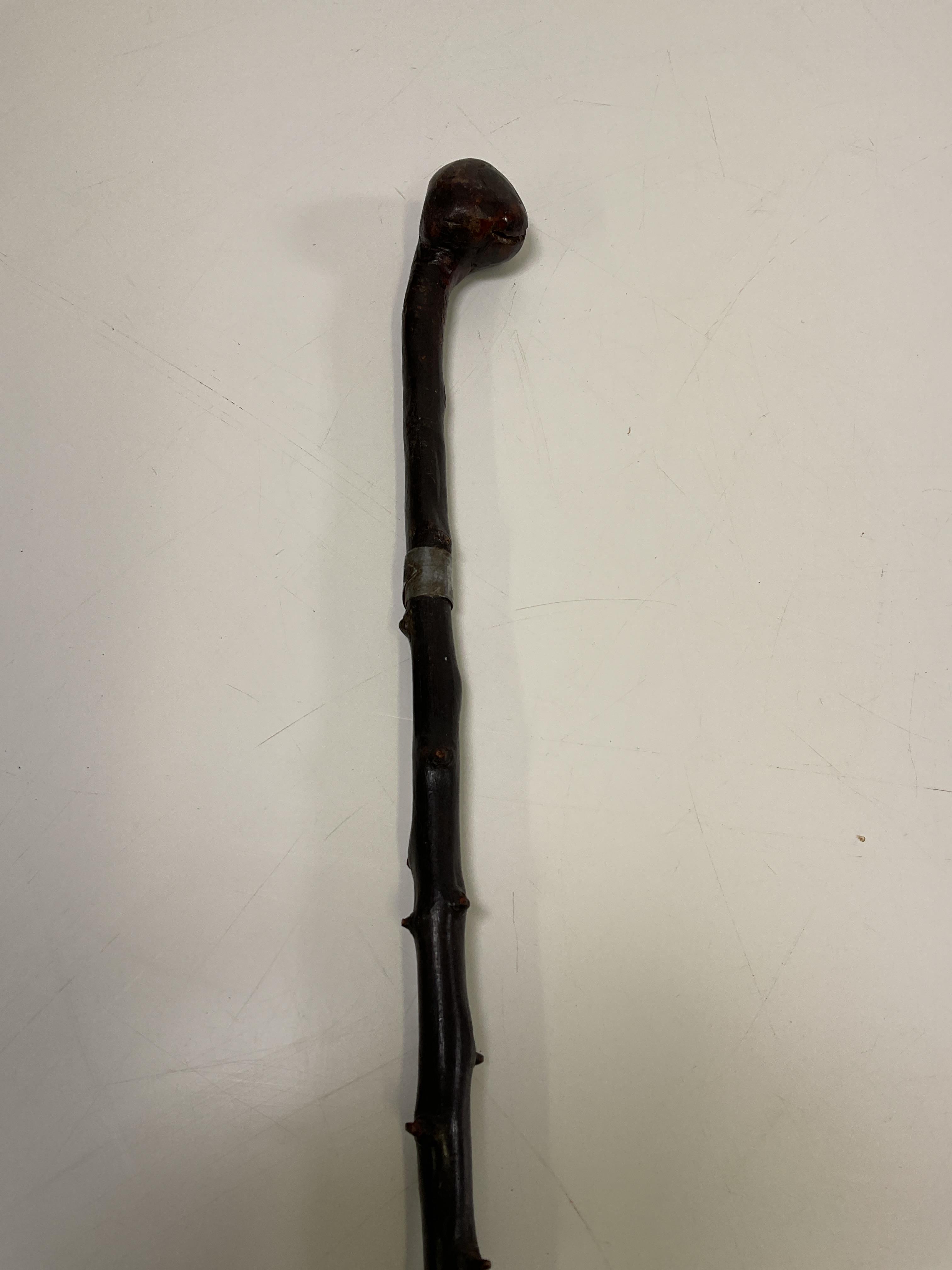 Lot 18 - A collection of eight walking sticks,