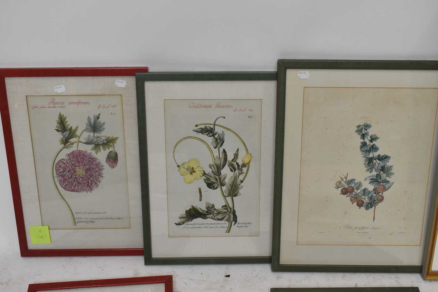 Lot 906 - A collection of six hand coloured engraved