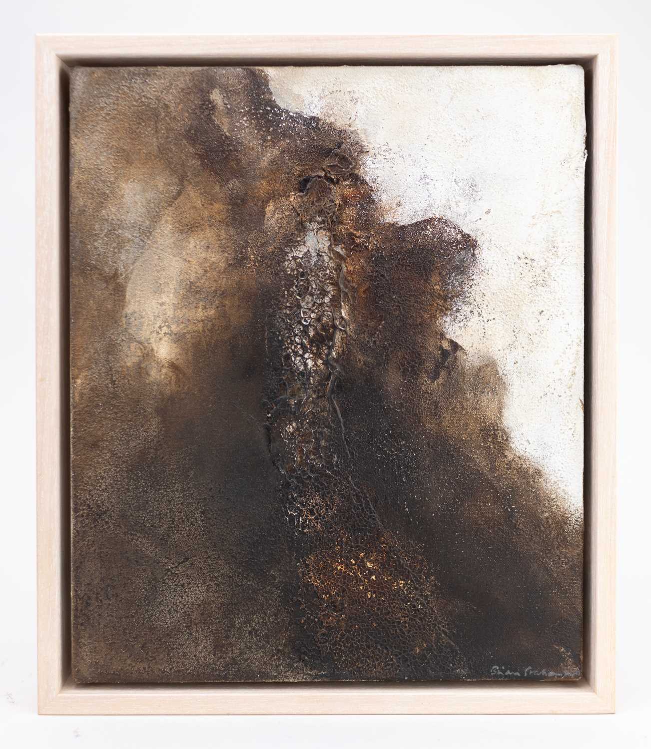 Lot 489 - BRIAN GRAHAM; acrylic on canvas, 'Contained