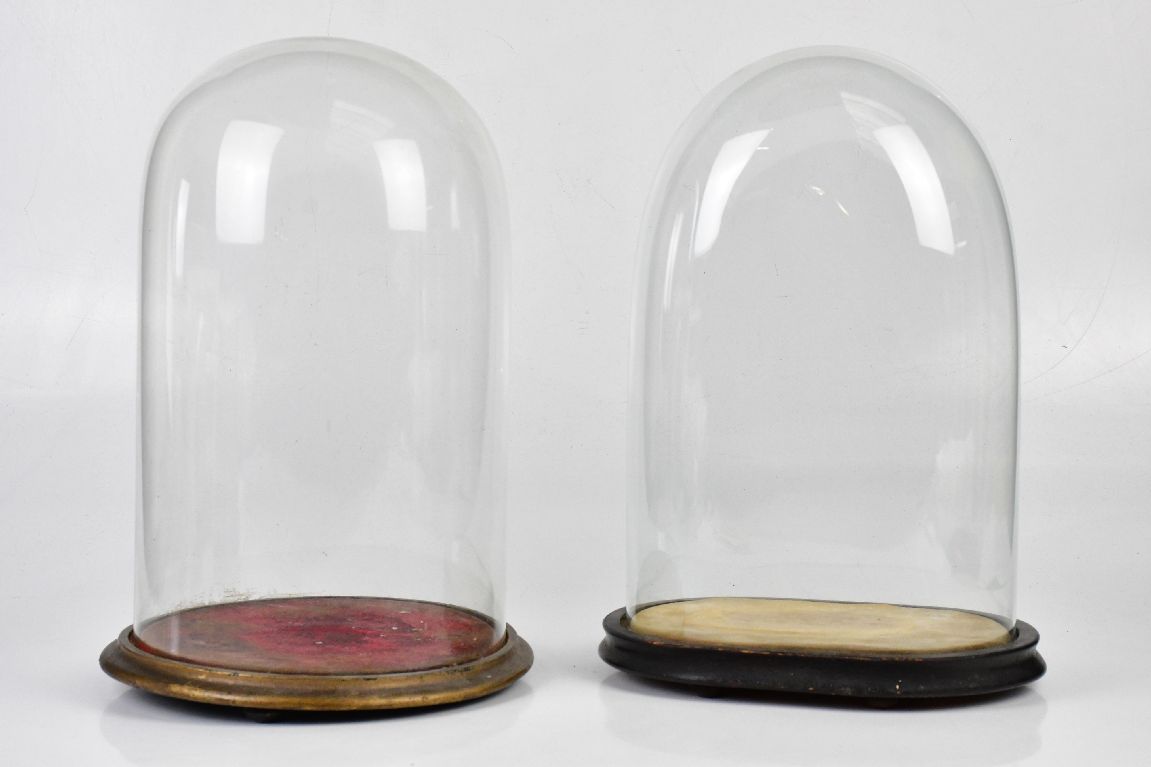 Lot 1030 - Two Victorian glass domes including an oval