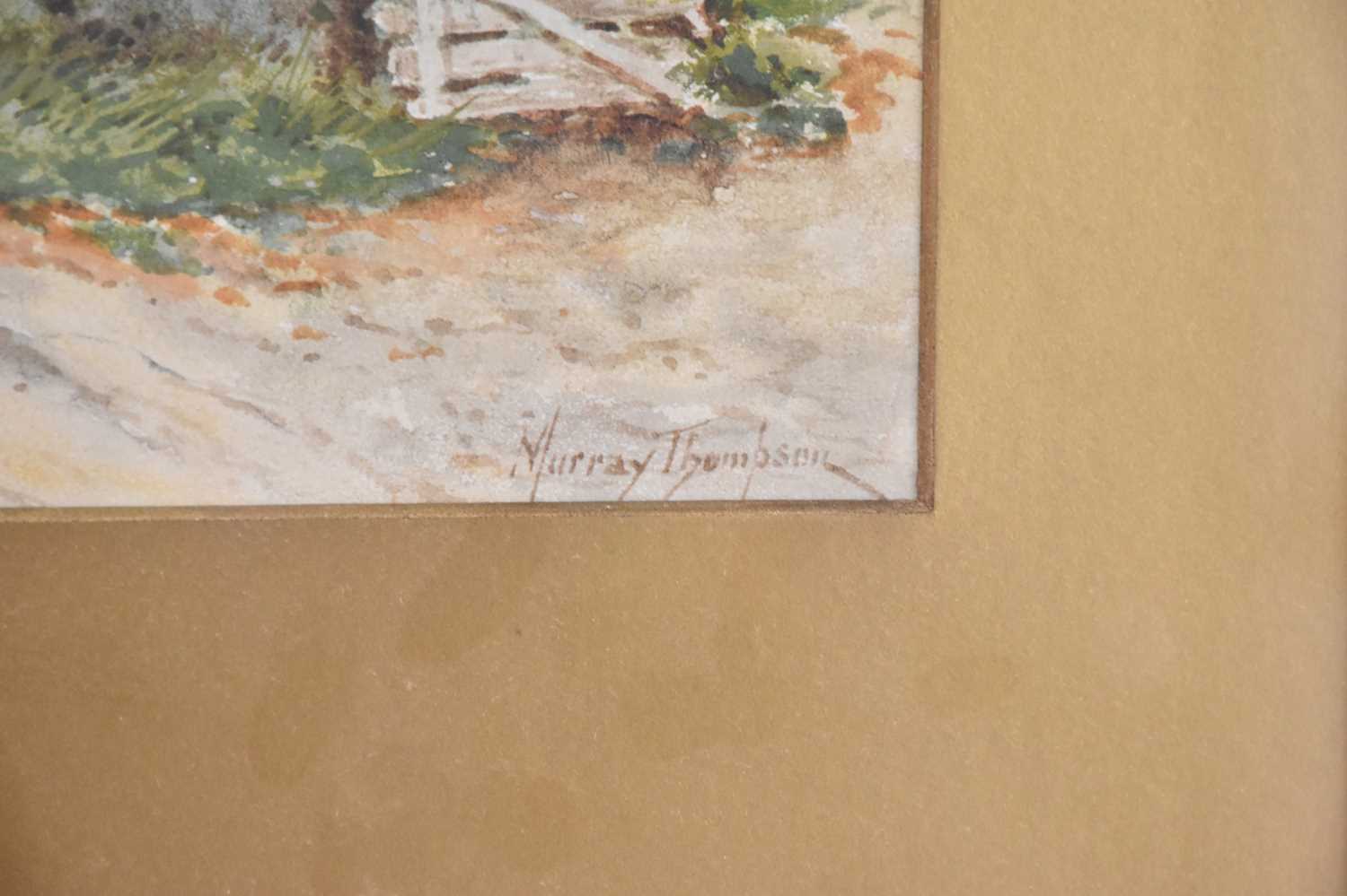 Lot 2478 - MURRAY THOMPSON (NORRIS FOWLER-WILLATT