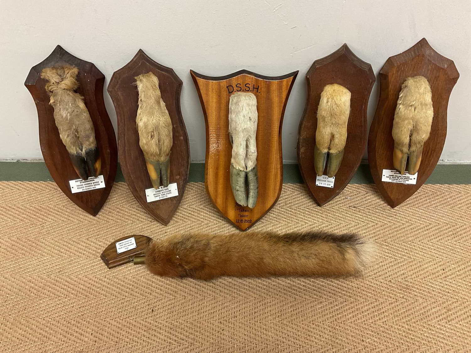 Lot 67 - Five shield mounted deer slots and a Basil's