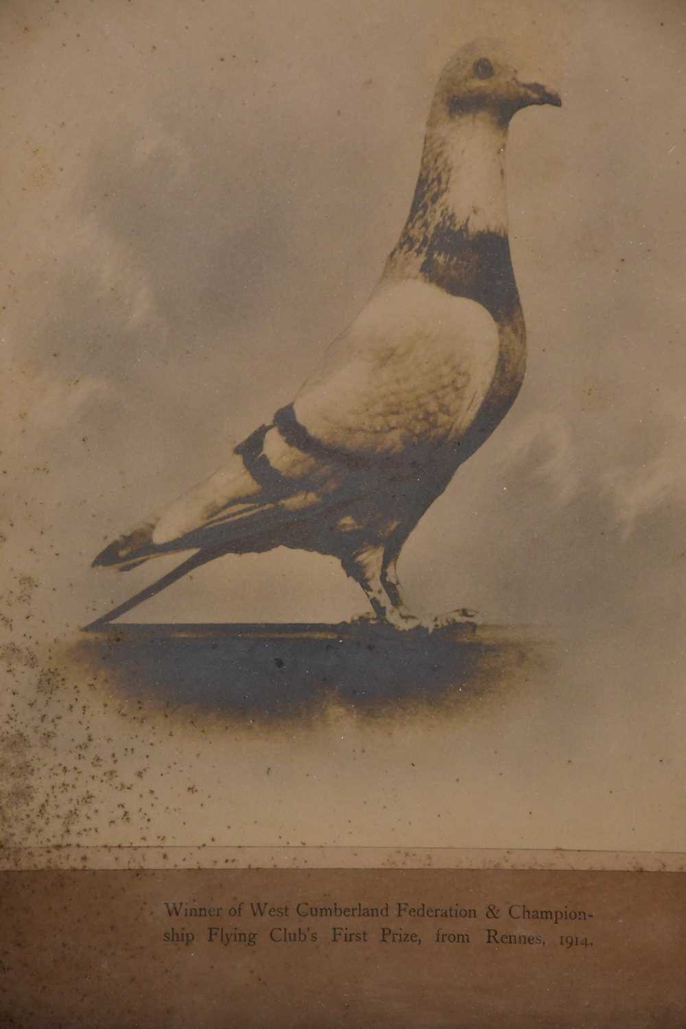 Lot 2422 - Two early 20th century photographs of