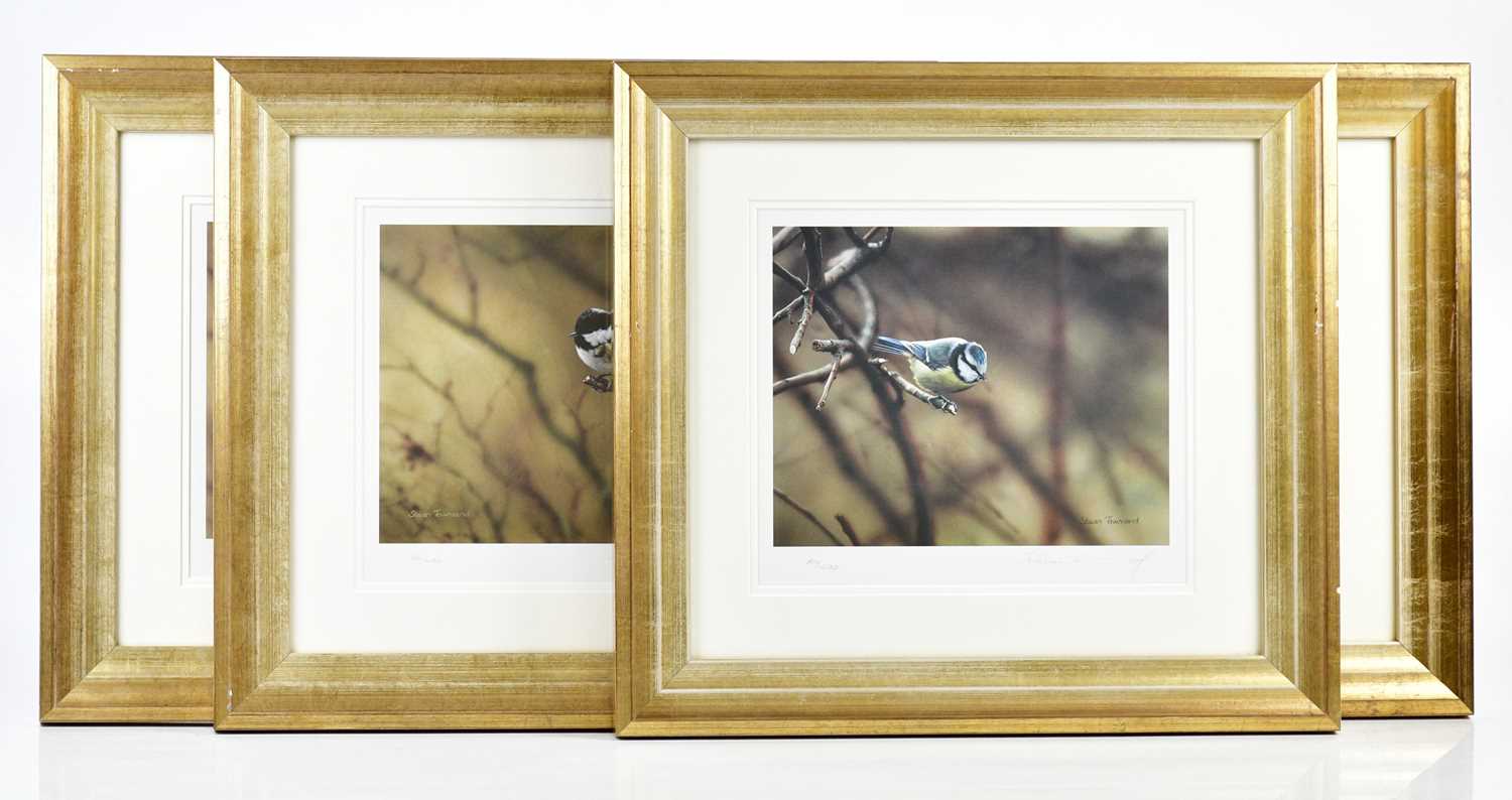 Lot 1687 - STEVEN TOWNSEND (Born 1955); four pencil