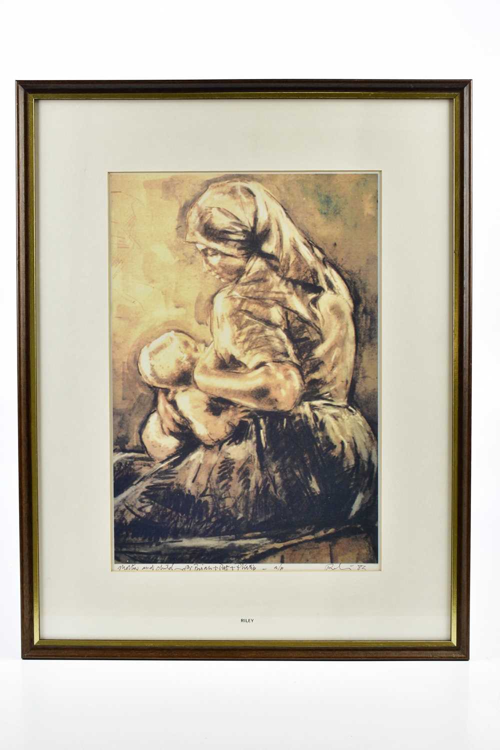 Lot 140 - HAROLD FRANCIS RILEY DL DLITT FRCS DFA ATC