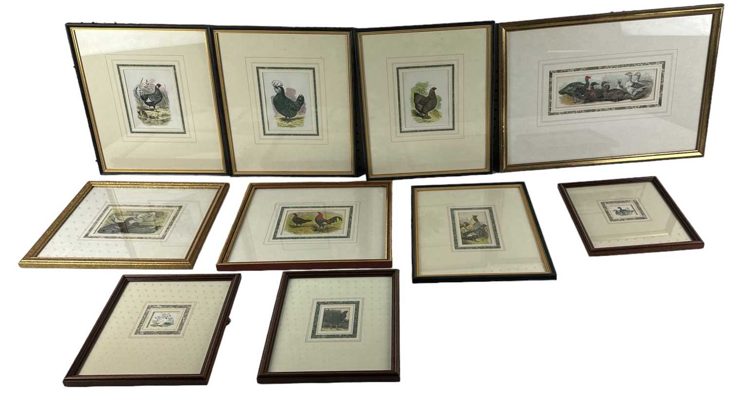 Lot 200 - A group of ten prints of birds including