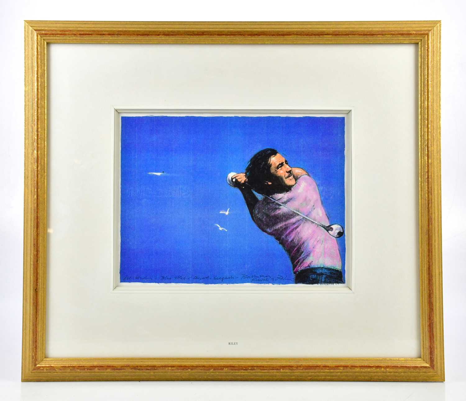 Lot 107 - HAROLD FRANCIS RILEY DL DLITT FRCS DFA ATC