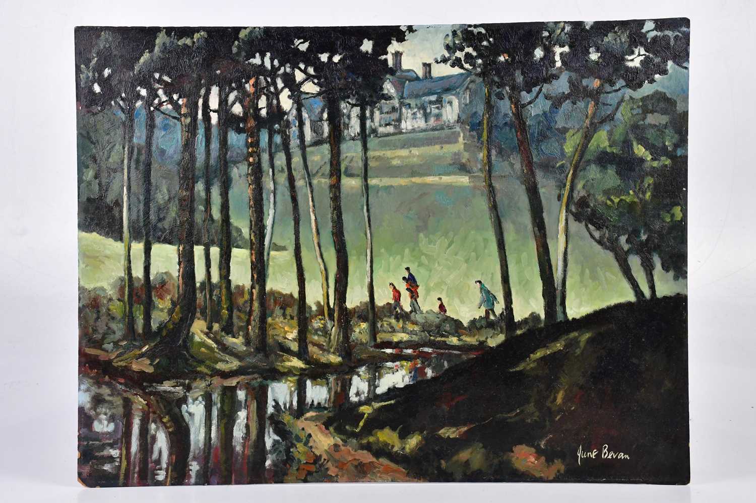 Lot 380 - JUNE BEVAN; oil on board, 'Pine Trees in